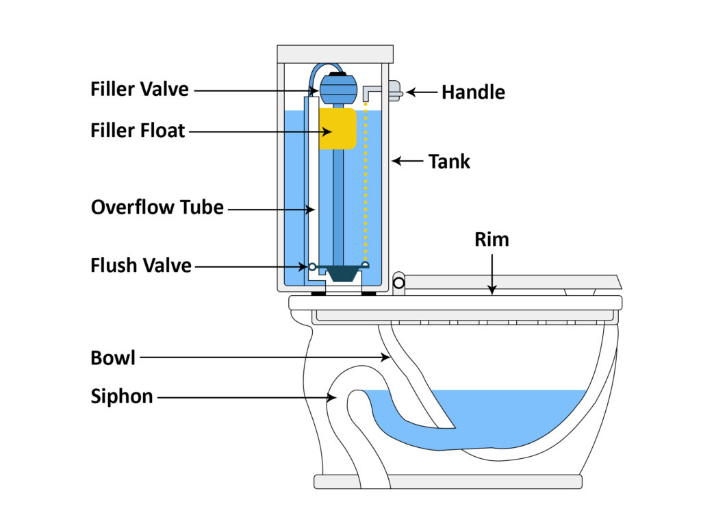 What Are The Parts Of A Toilet With Diagram Dengarden 56 OFF
