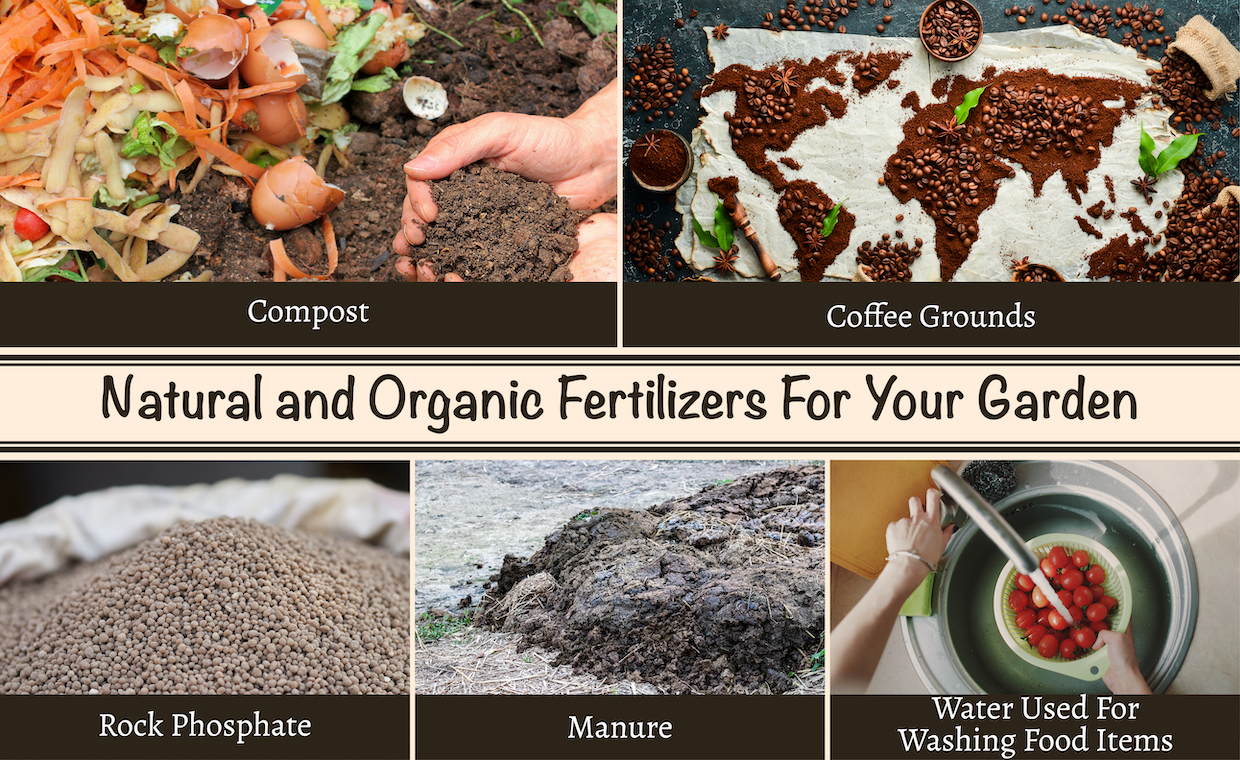 Fertilizers NatureX India Fertilizers NatureX India